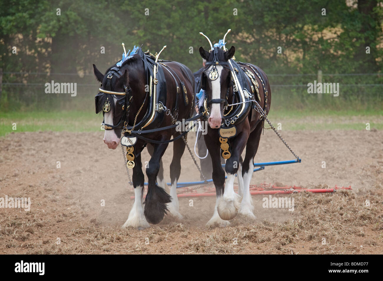 Harrow pulled hi-res stock photography and images - Alamy