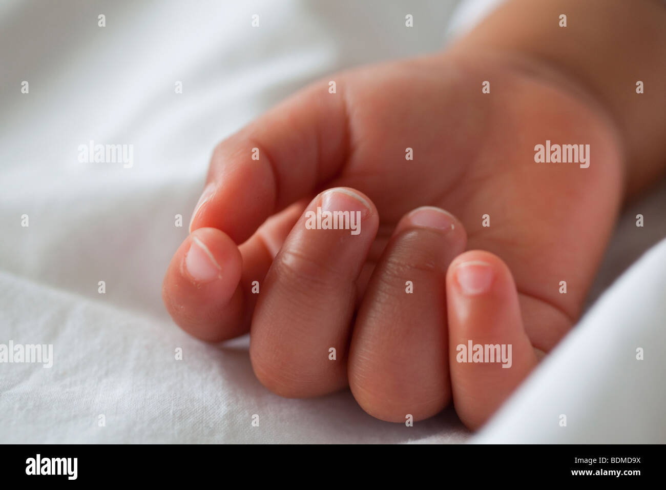 African Baby's Hand Stock Photo - Alamy
