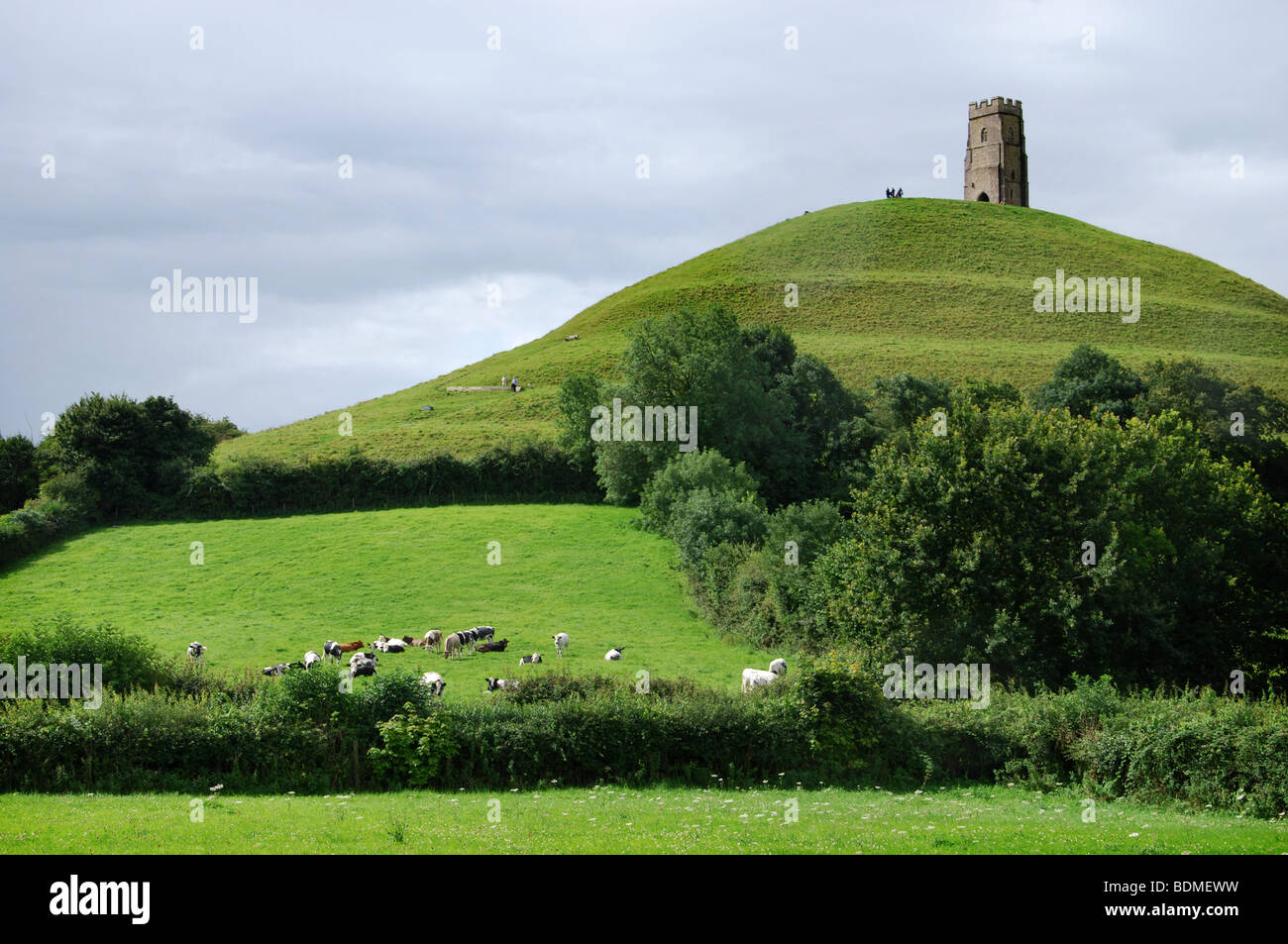 Distant view of Glastonbury Tor over fields, Somerset England United ...