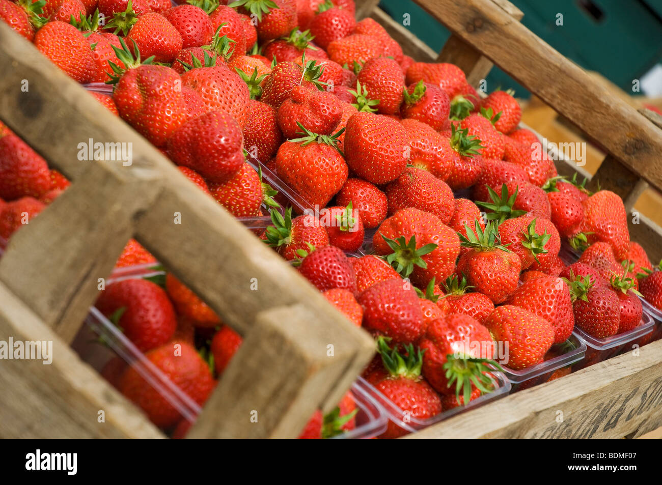 Punnets of fresh British English strawberries fruit fruits for sale in ...