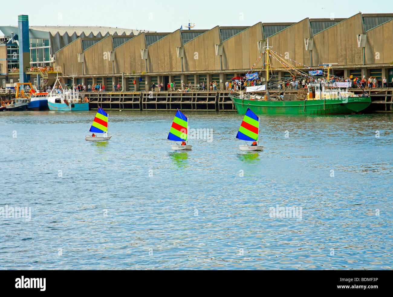 Scheveningen Flag Day (Vlaggetjesdag), 13 June 2009, the Netherlands ...