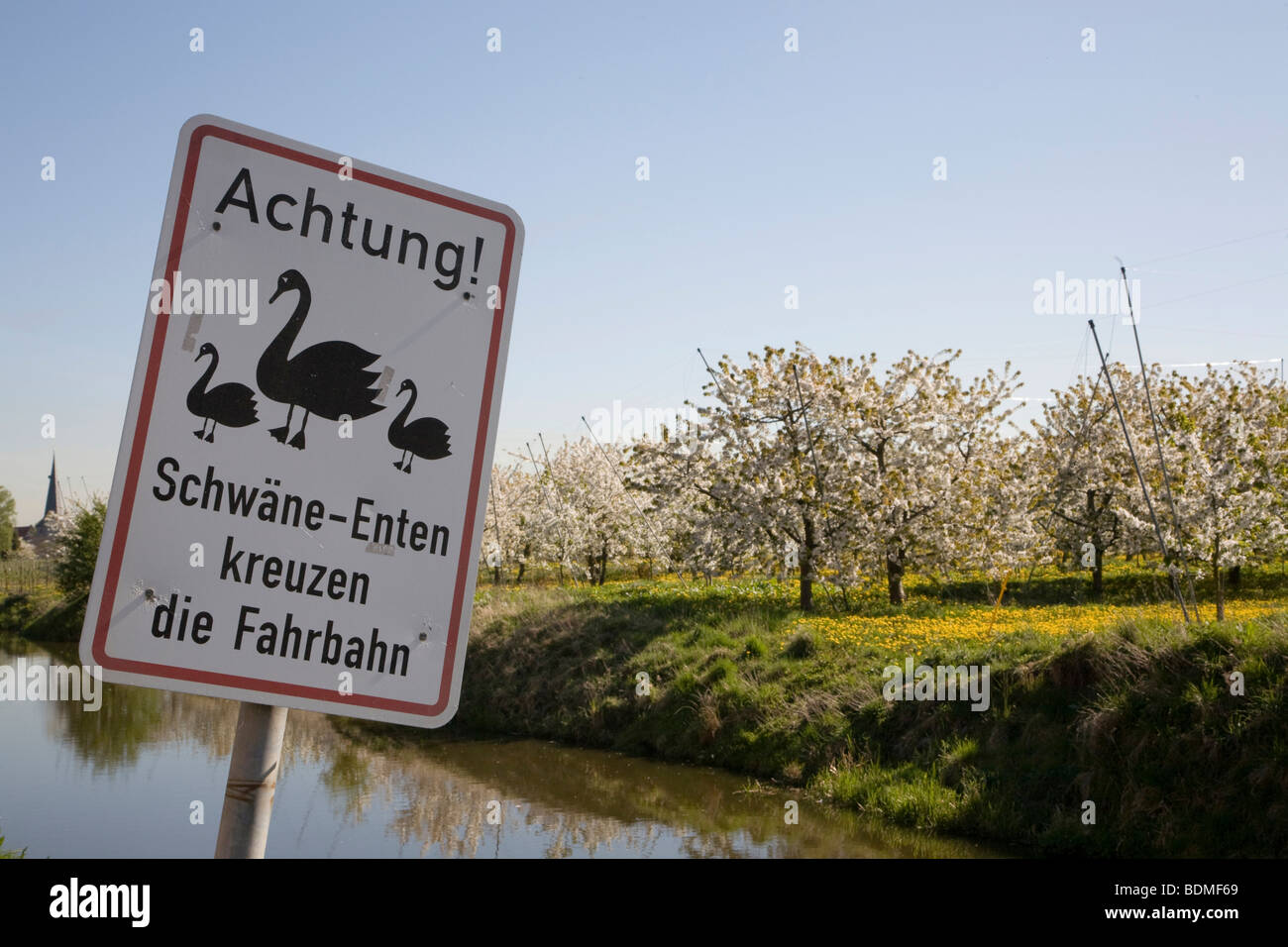 Duck crossing road sign hi-res stock photography and images - Alamy