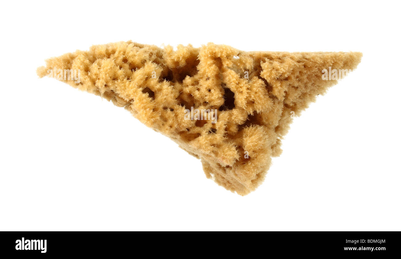 Artist Cut Out Stock Images & Pictures - Alamy