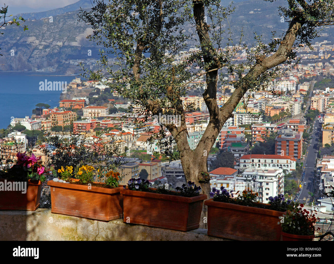 Sorrento italy flowers hi-res stock photography and images - Alamy
