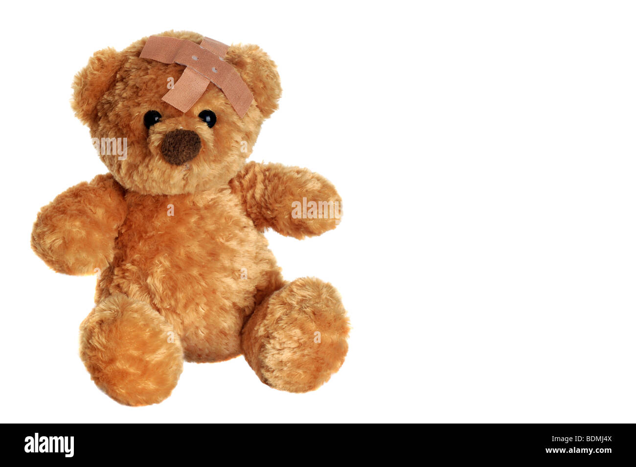 Portrait of a cute teddy bear with an adhesive bandage on forehead ...