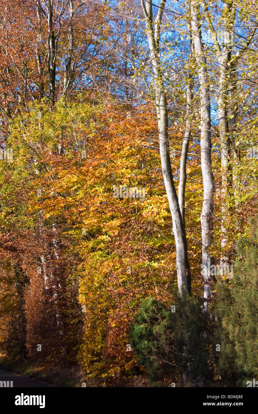 The kent landscape hi-res stock photography and images - Alamy