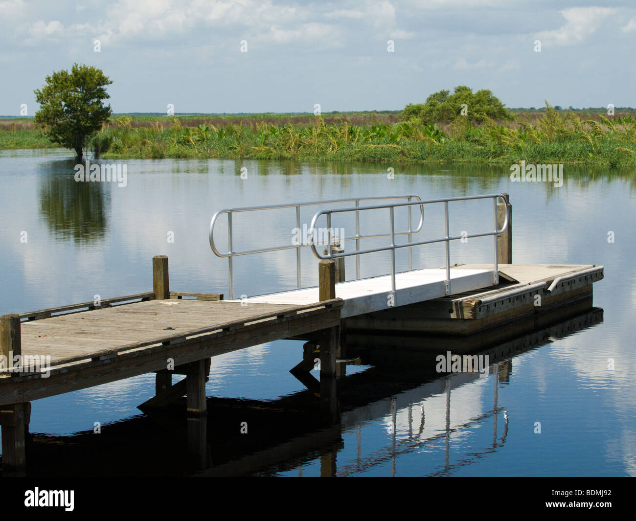 THE ST JOHNS RIVER IN CENTRAL FLORIDA IS ONE OF ONLY TWO RIVERS IN THE ...
