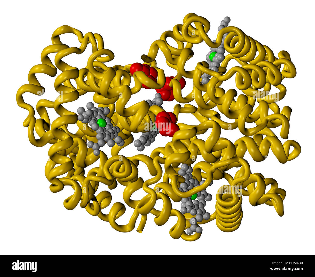 Three-dimensional, computer-generated molecular model of hemoglobin A1c ...