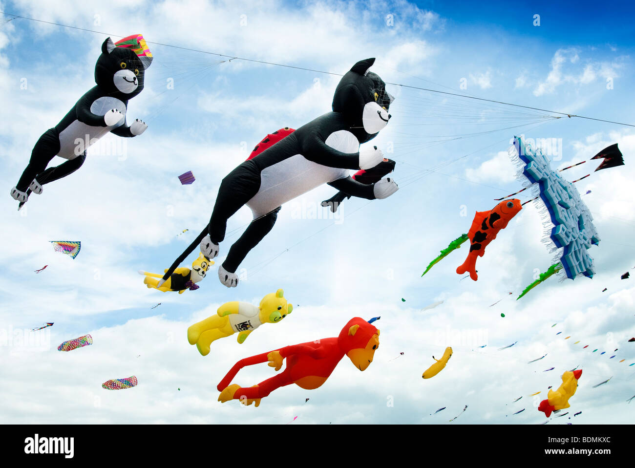 Cat kite hi-res stock photography and images - Alamy