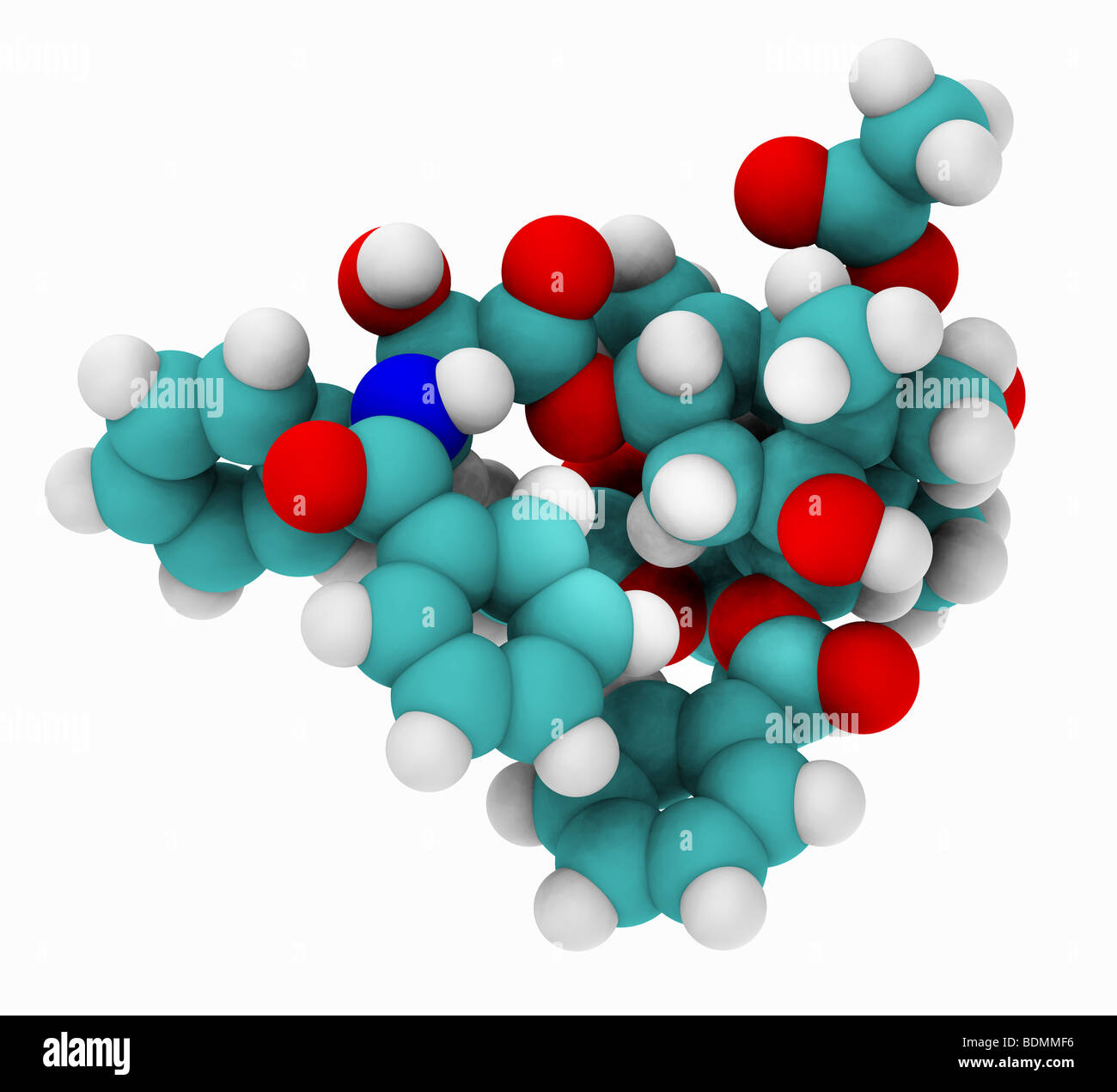 three-dimensional space-filling molecular model of taxol, the cancer ...