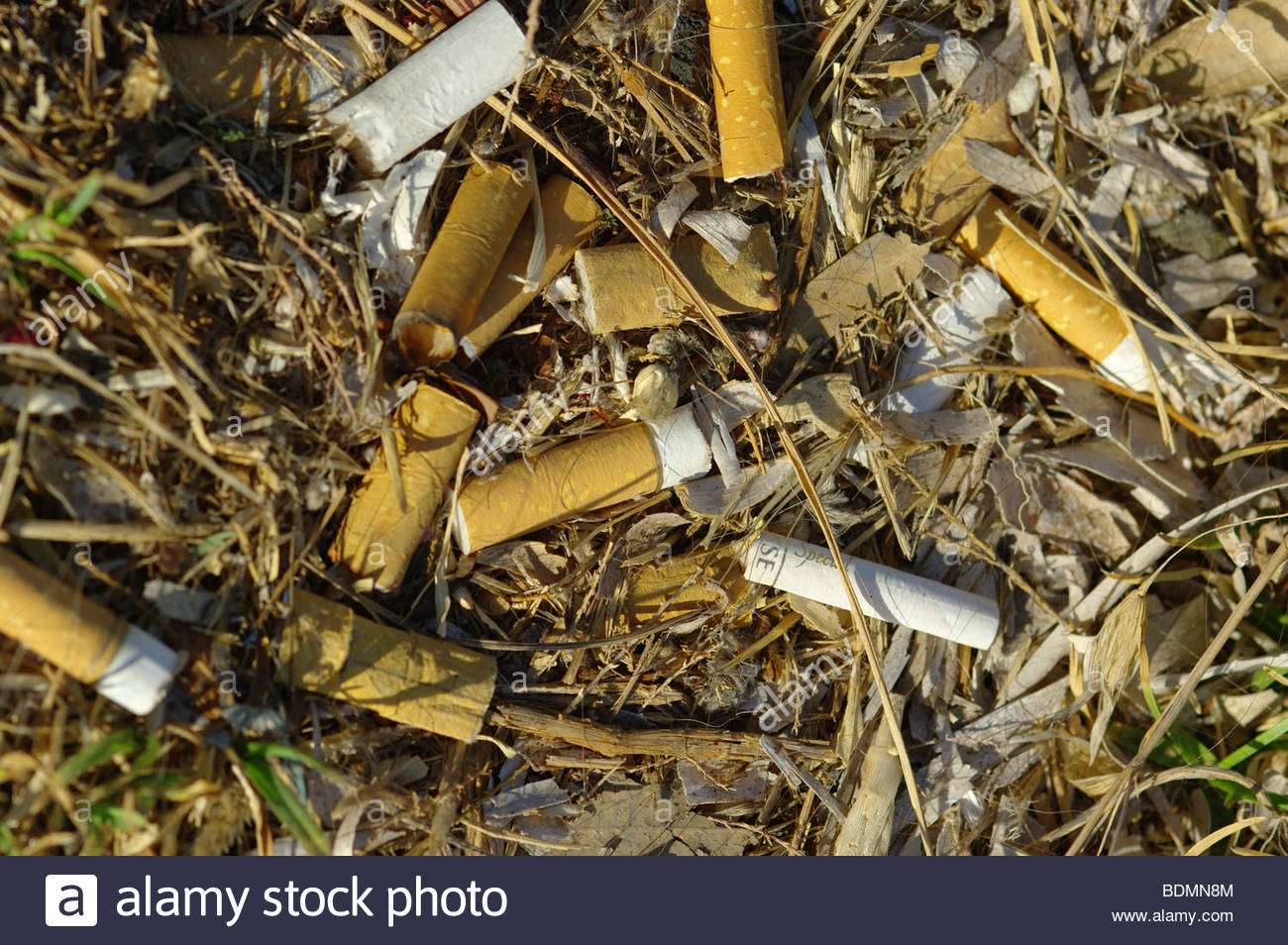 Cigarette Buts High Resolution Stock Photography and Images - Alamy