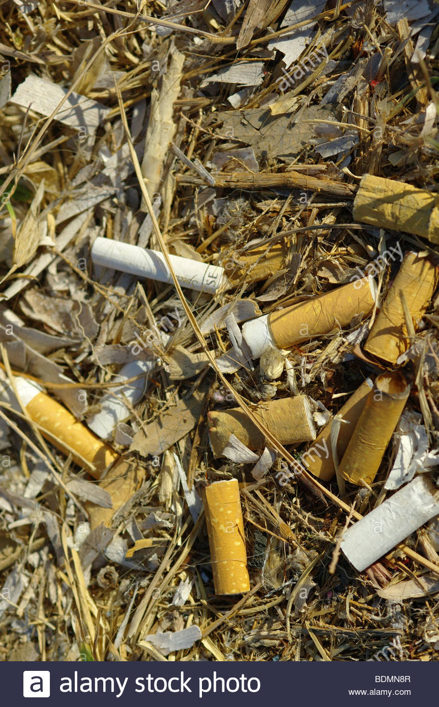 Cigarette Buts High Resolution Stock Photography and Images - Alamy