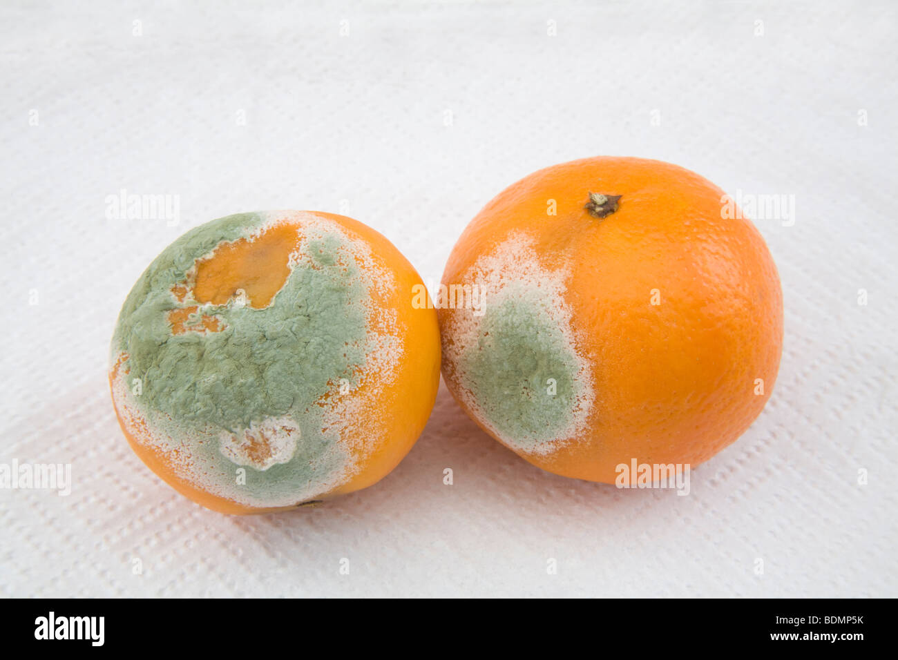 Unfortunate rotting food waste hi-res stock photography and images - Alamy