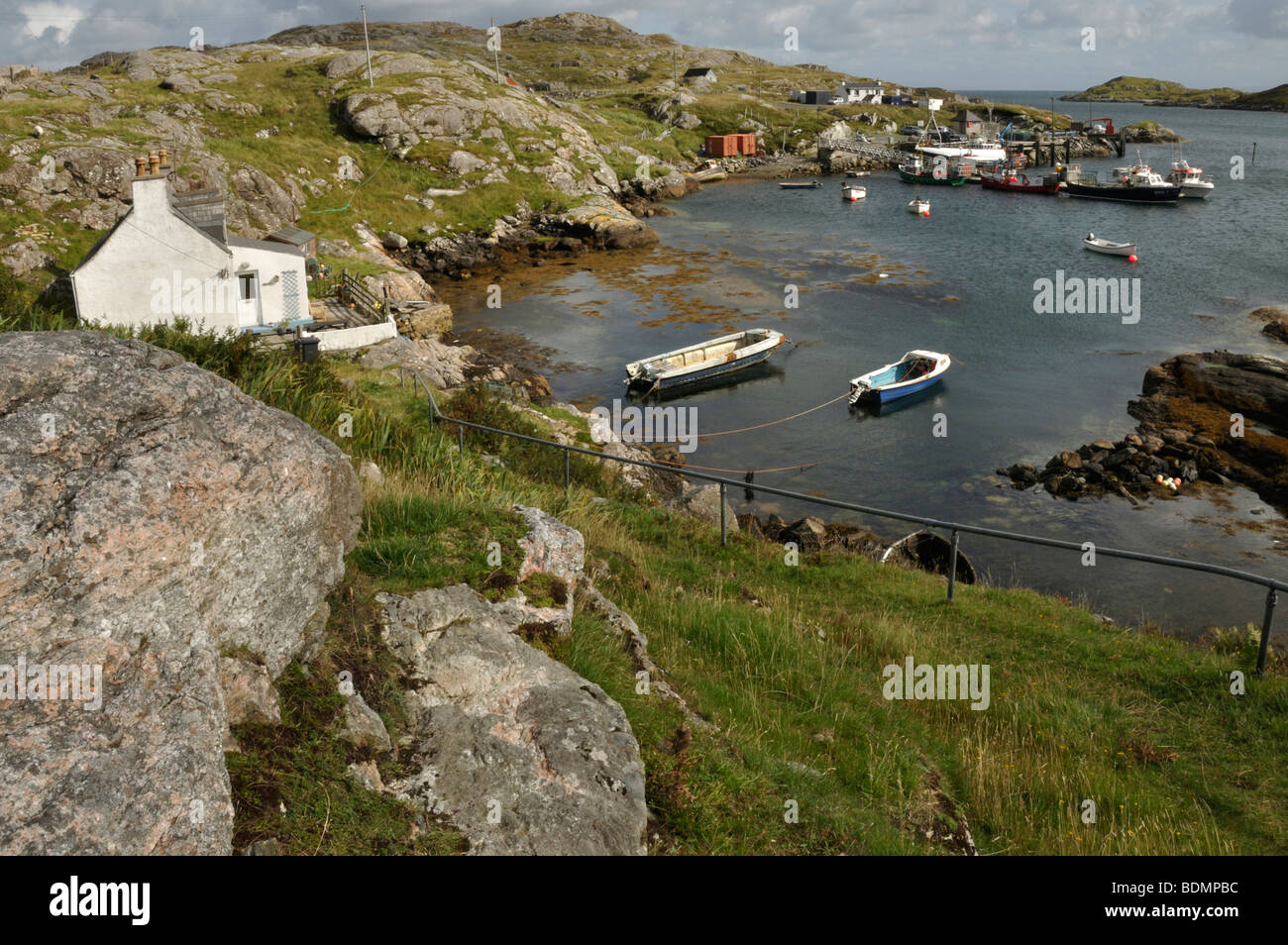 Stocinis hi-res stock photography and images - Alamy