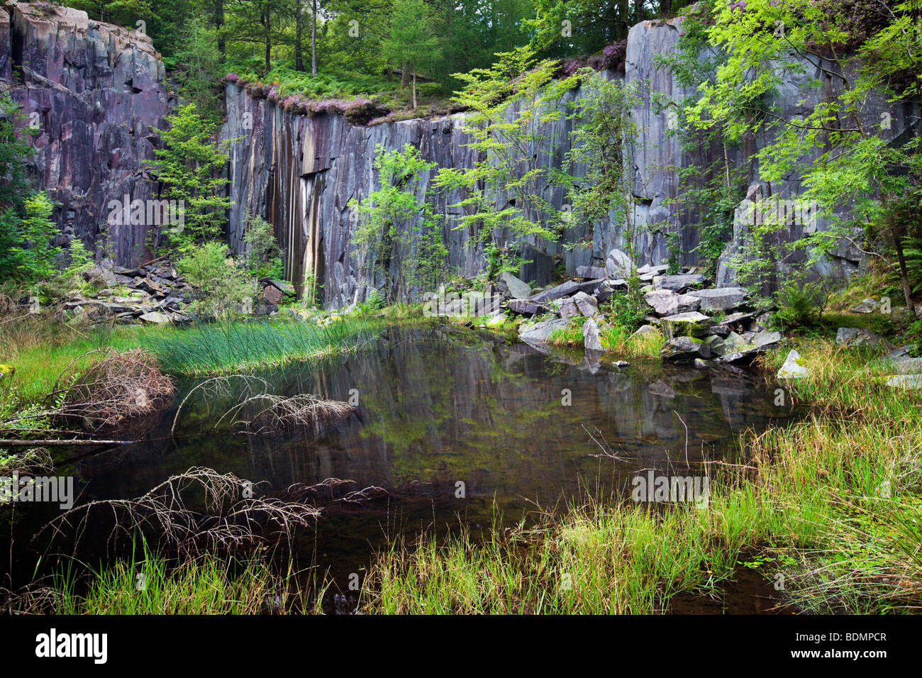 Secluded Forest Glade And Large Rock Pool Under 'Castle Crag' Mountain ...