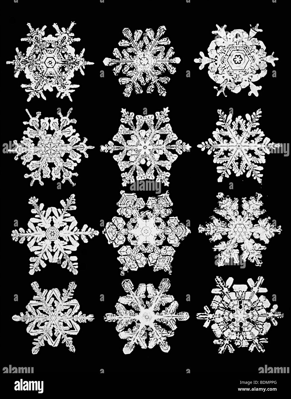 Wilson bentley snowflake hi-res stock photography and images - Alamy