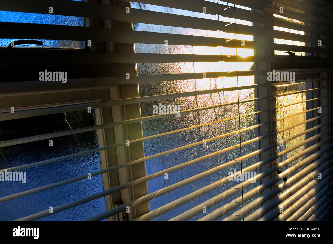 Friday 6 January 2009. Sunrise through window Stock Photo - Alamy