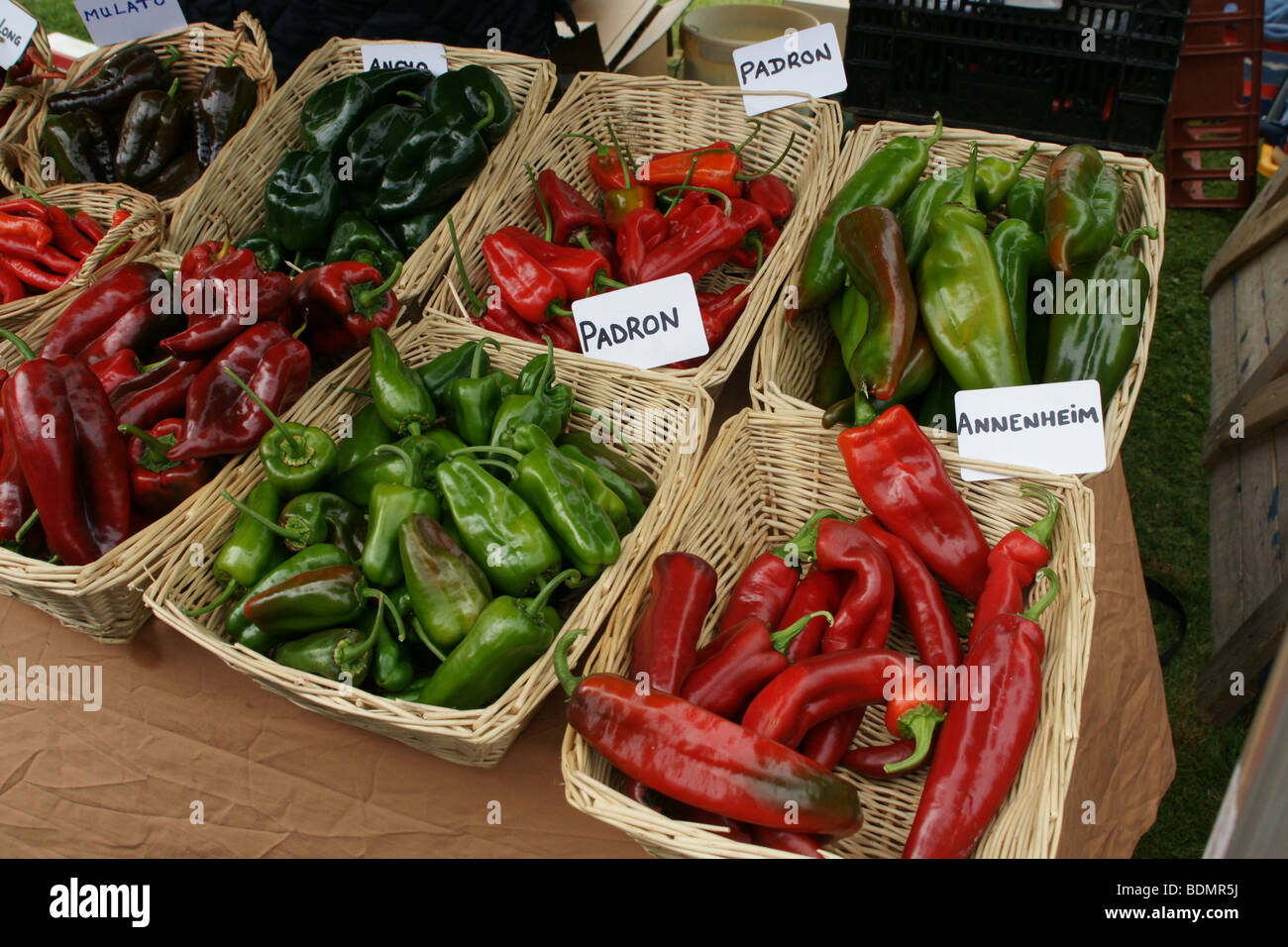 Poblano chilli hi-res stock photography and images - Alamy