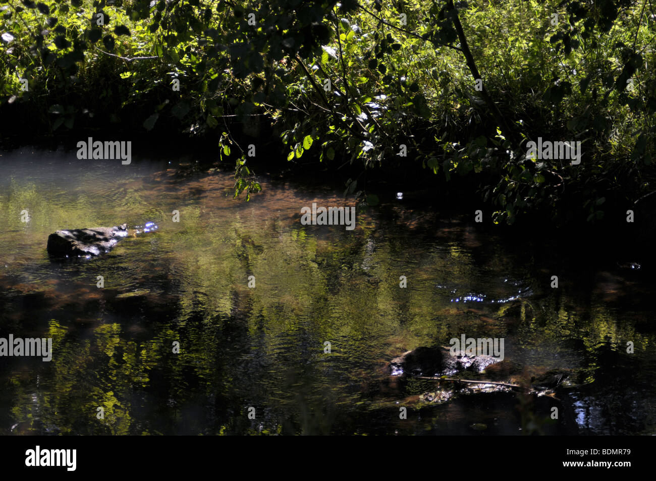 River scene landscape hi-res stock photography and images - Alamy