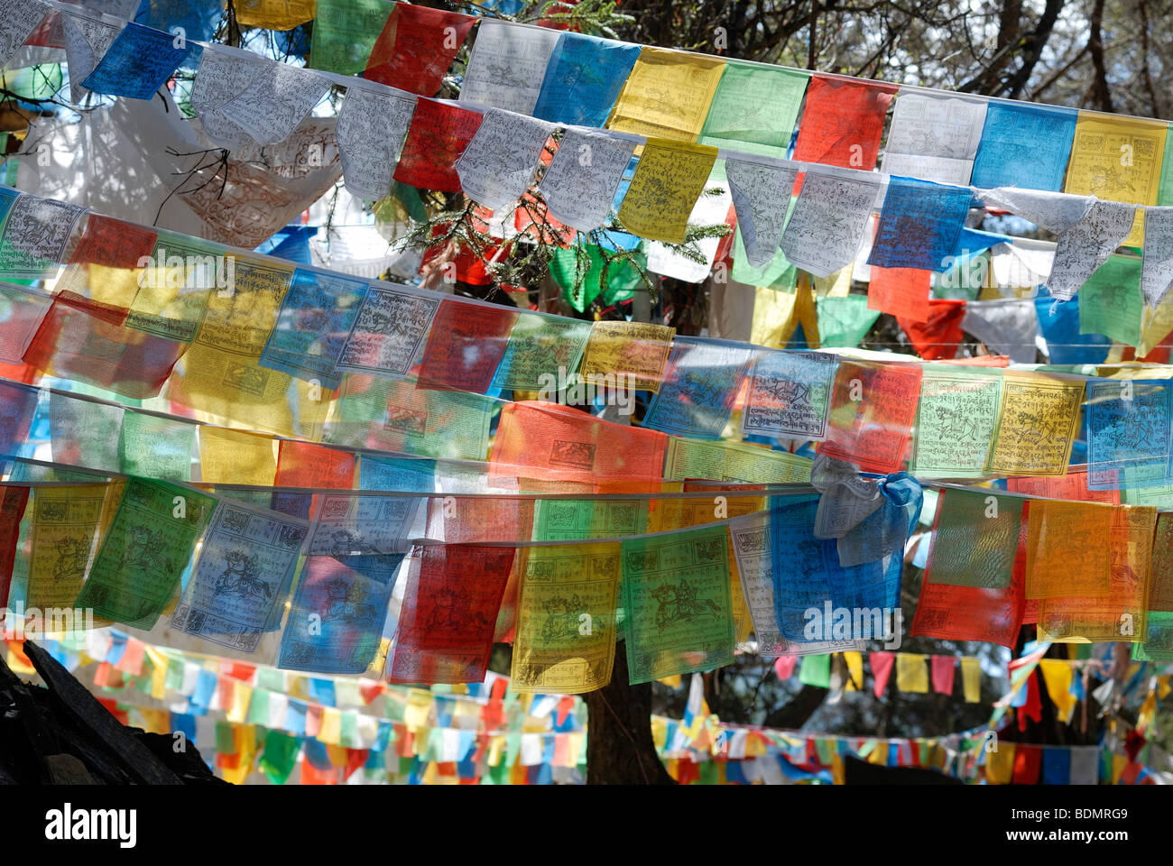 Colorful Tibetan prayer flags with printed prayers and Mandalas in the ...