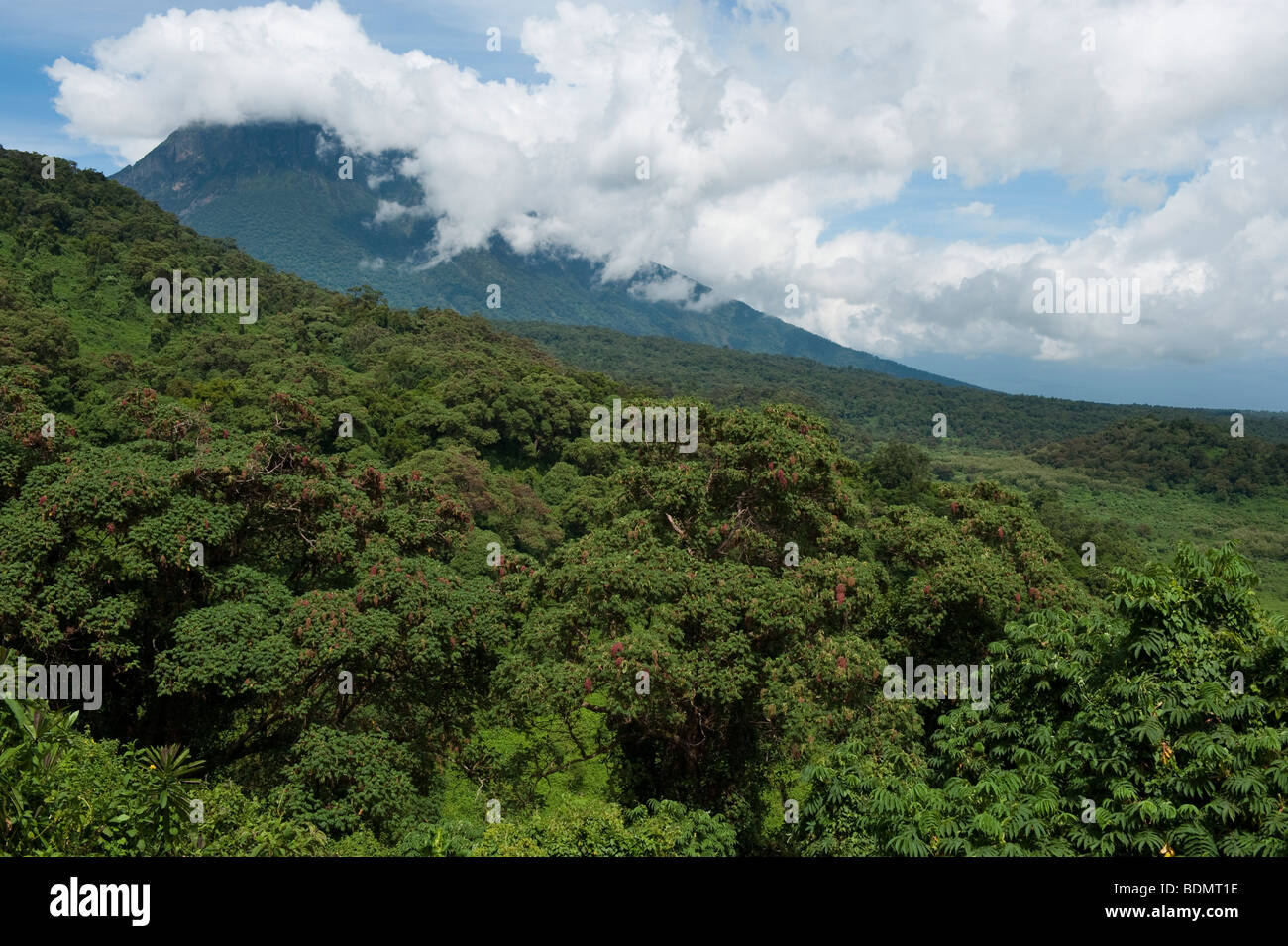 Scenery, Volcanoes National Park, Rwanda Stock Photo - Alamy