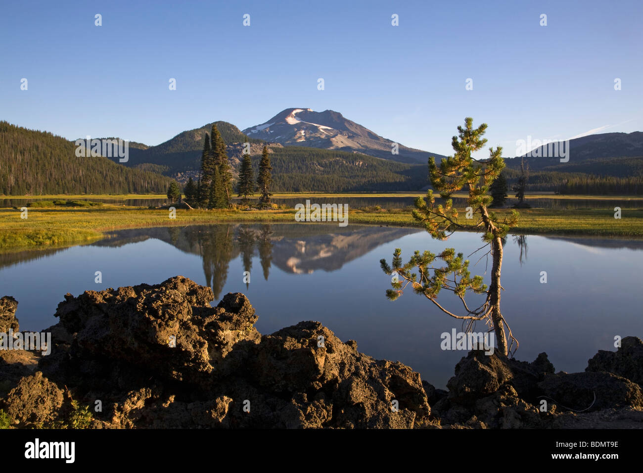 Cascade lakes highway oregon elk hi-res stock photography and images ...