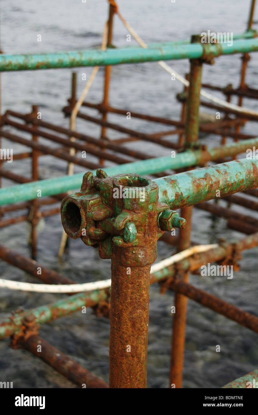 detail of old rust covered scaffolding by sea Stock Photo - Alamy