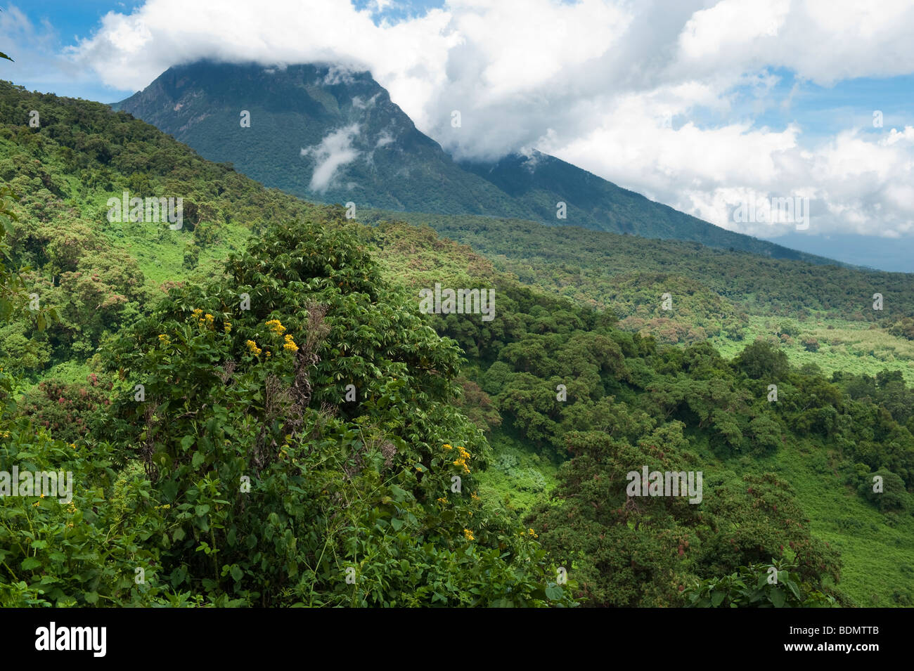 Scenery, Volcanoes National Park, Rwanda Stock Photo - Alamy