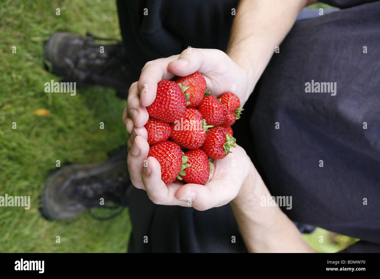 Handful fruit veg hi-res stock photography and images - Alamy