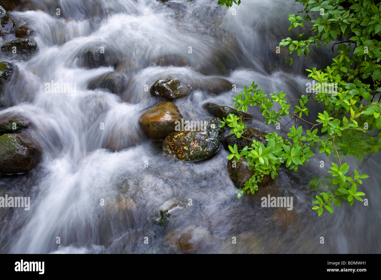A small river or creek rushing over a waterfall and brightly colored ...