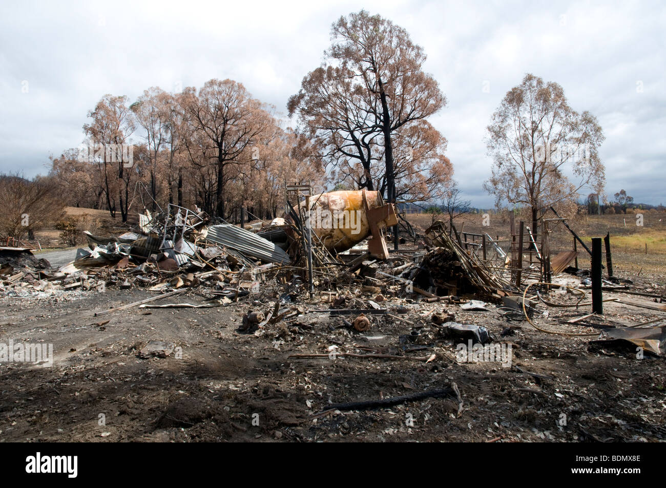 Devastation after bushfires Stock Photo - Alamy