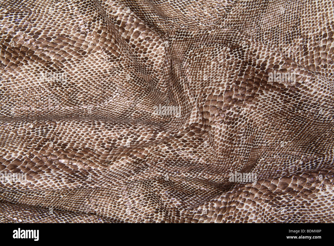 Snakeskin pattern hi-res stock photography and images - Alamy