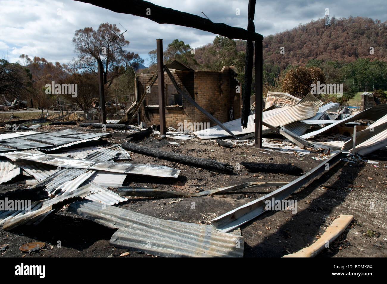 Devastation after bushfires Stock Photo - Alamy