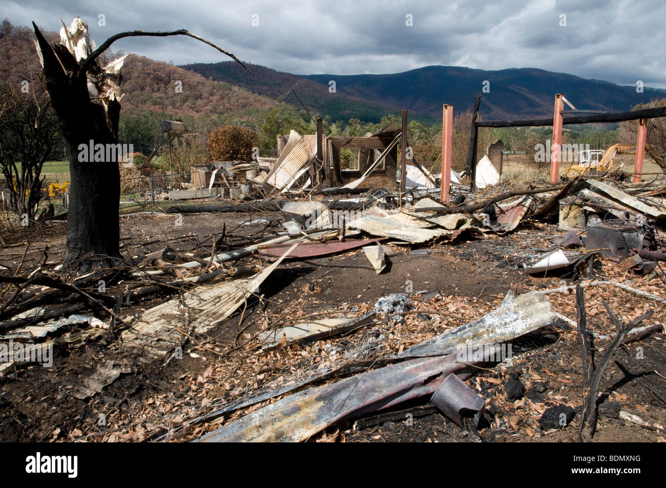 Devastation after bushfires Stock Photo - Alamy