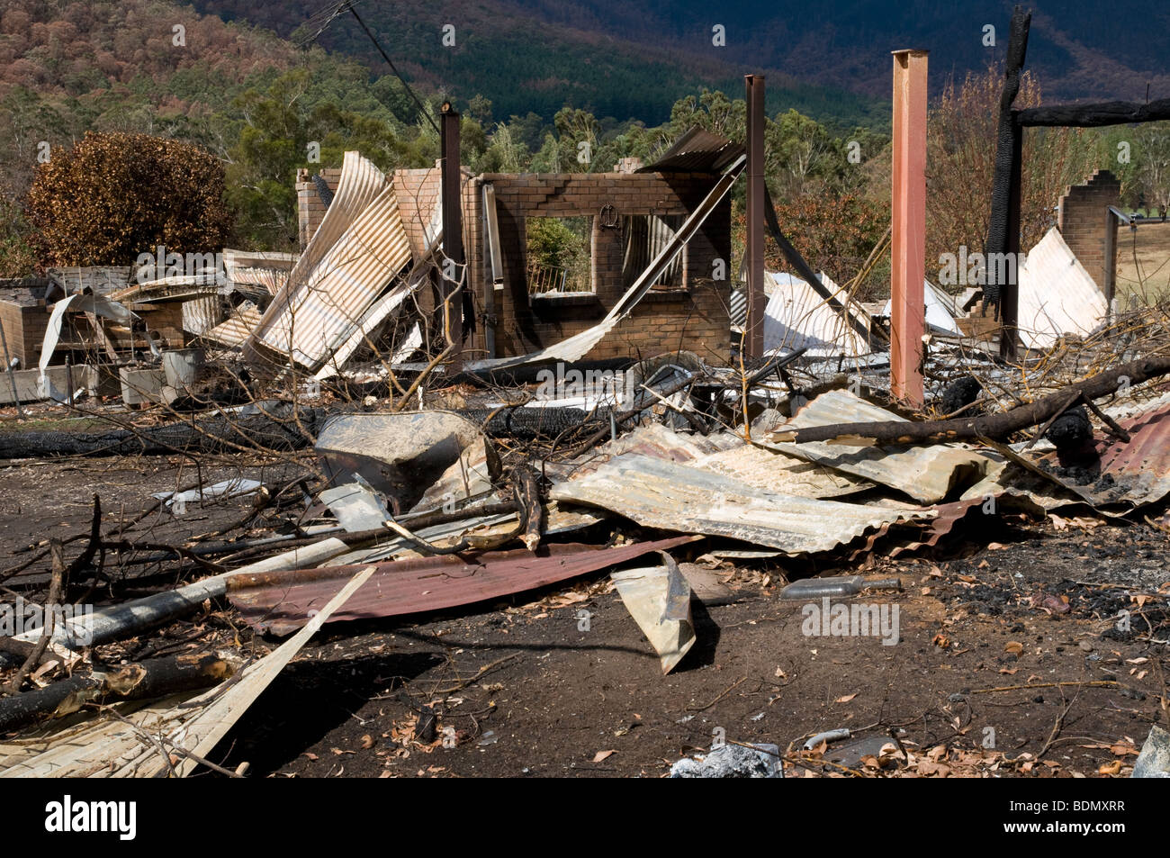Devastation after bushfires Stock Photo - Alamy
