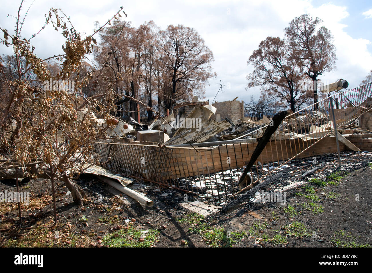 Devastation after bushfires Stock Photo - Alamy