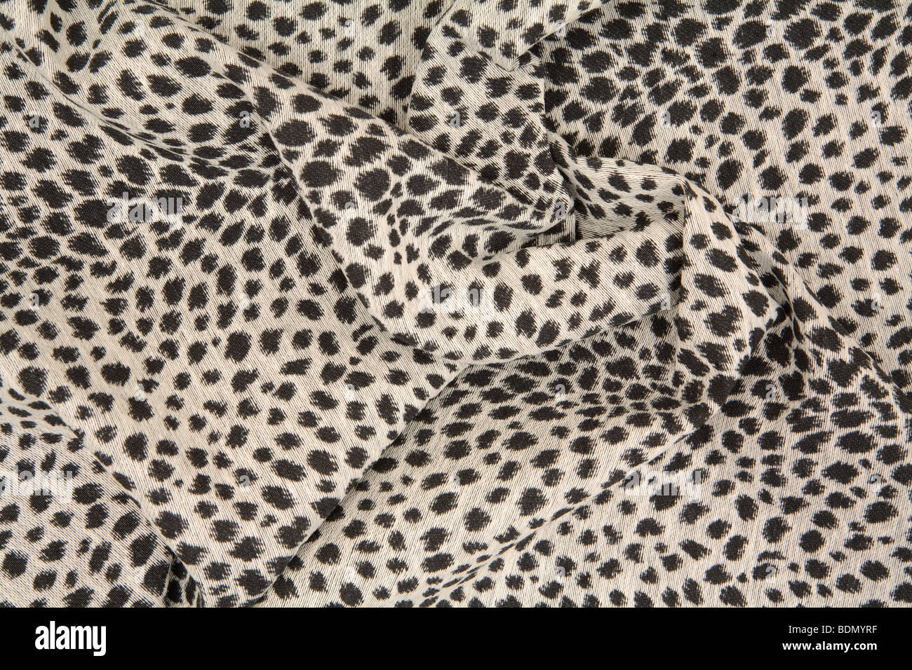 Leopard print suit hi-res stock photography and images - Alamy