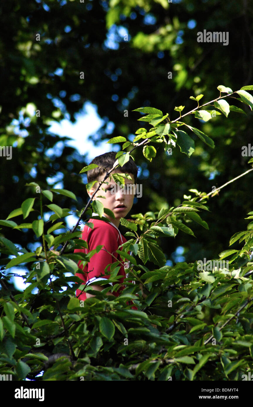 Boy watching through the trees Stock Photo - Alamy
