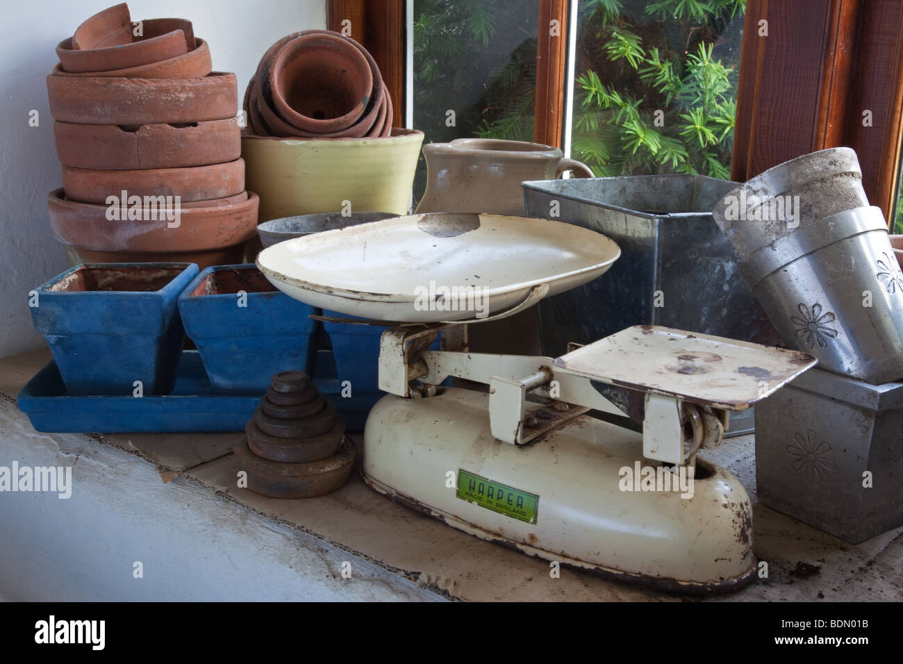 Old weigh scales with plant pots in a shed with window background Stock ...