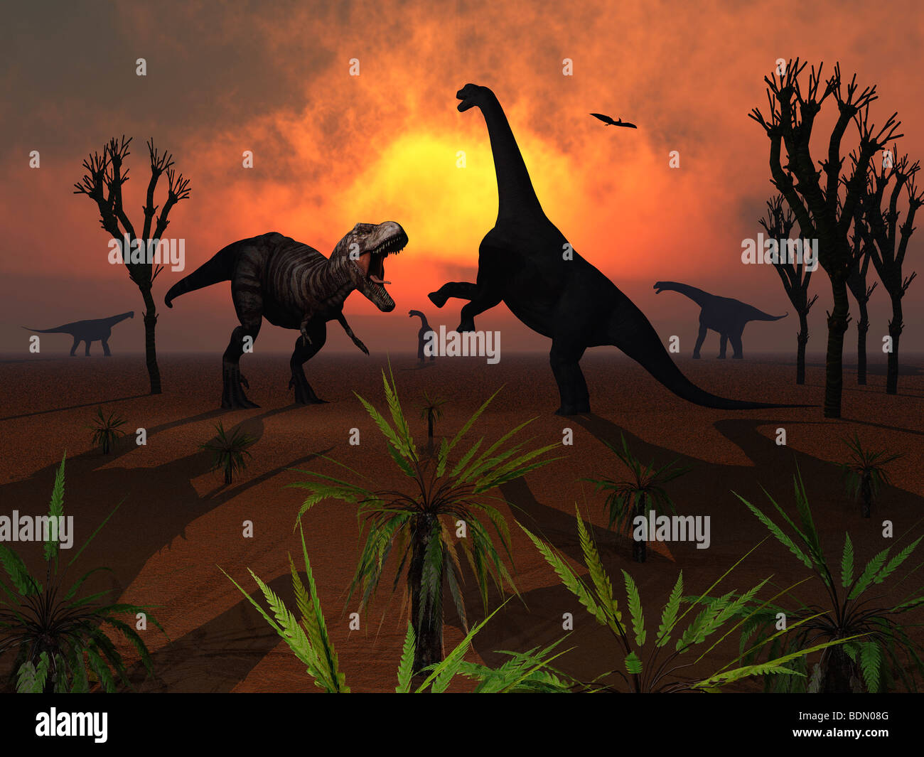 A Tyrannosaurus Rex Dinosaur , encountering a herd of Camarasaurus ...