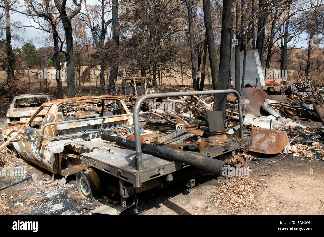 Devastation after bushfires Stock Photo - Alamy