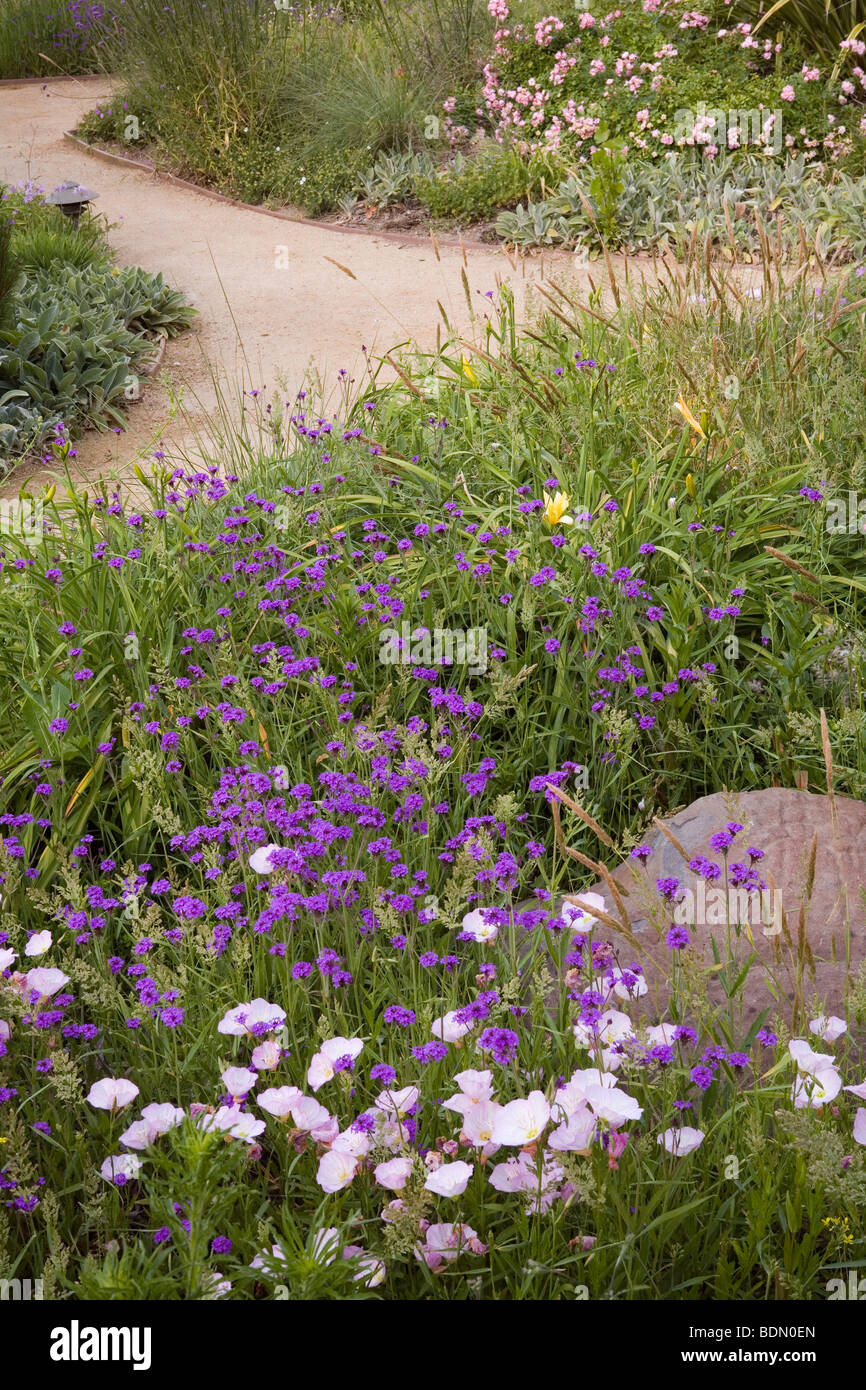 Perennial border in California meadow garden, design Richard McPherson ...