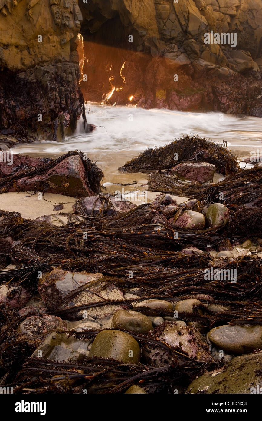 Sun shaft through Pfeiffer Beach Arch, Big Sur, California, USA Stock ...