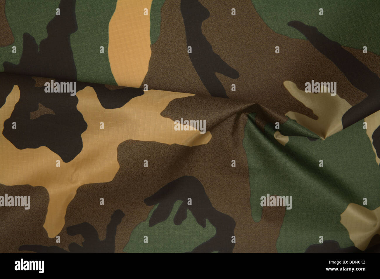 Sneaky camouflage hi-res stock photography and images - Alamy