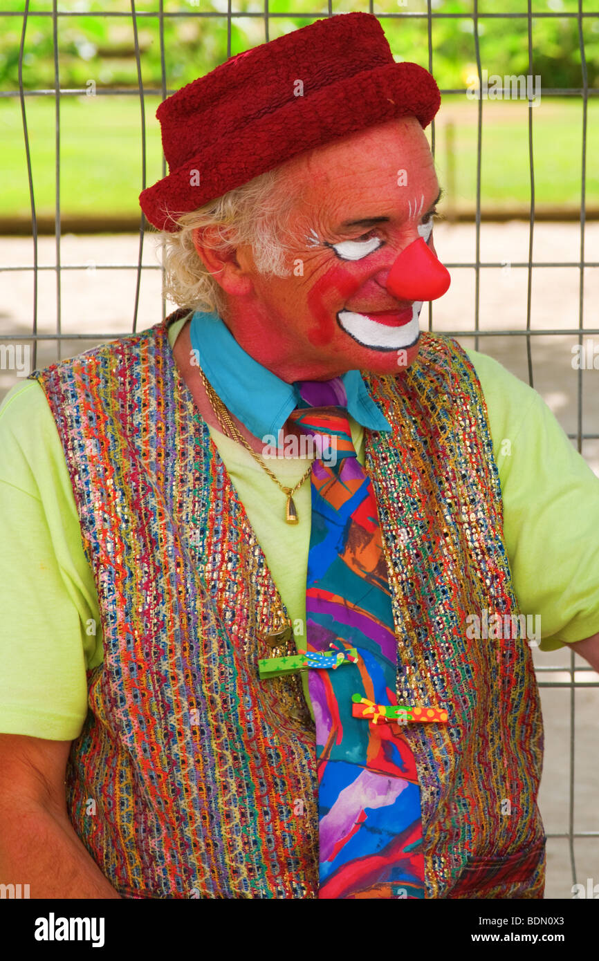 A circus clown in makeup Stock Photo - Alamy