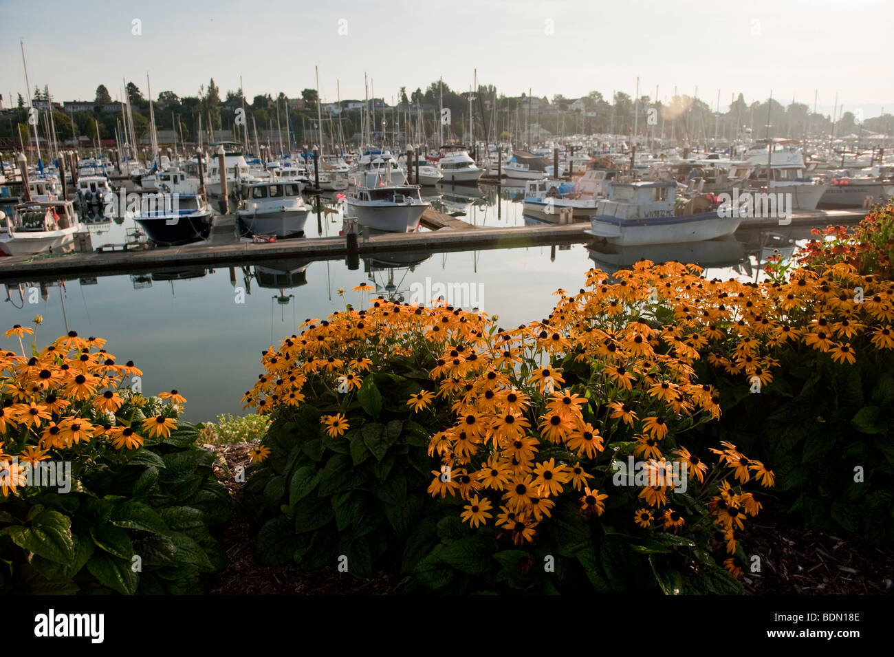 Squalicum Harbor and marina is located on the northern shores of ...