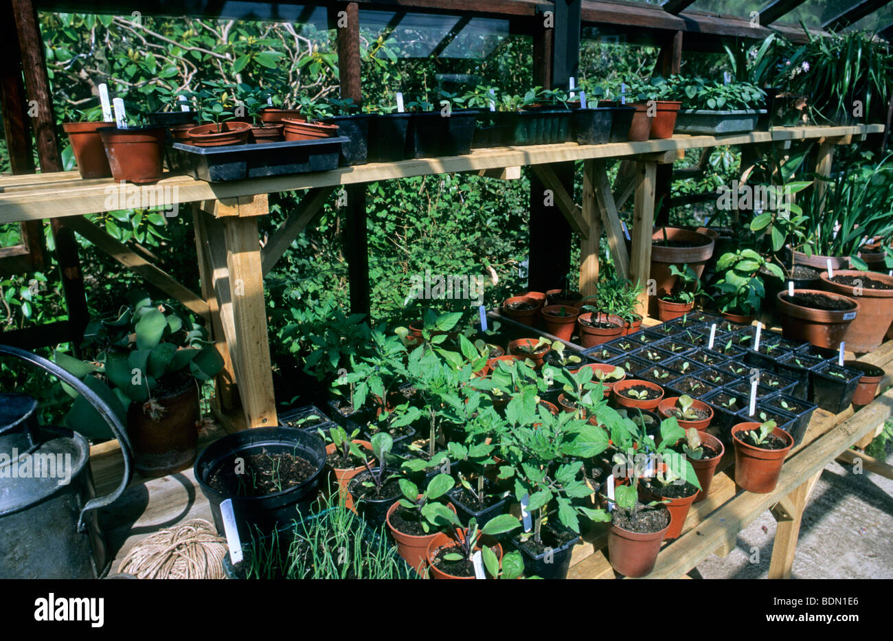 The cool greenhouse hi-res stock photography and images - Alamy
