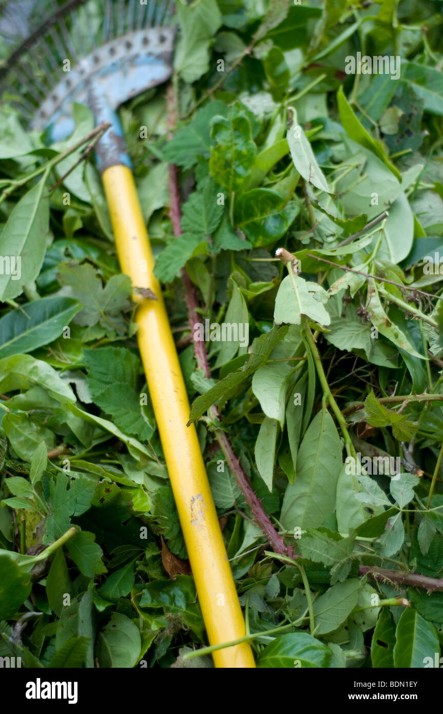 Yellow garden rake lying on top of some leaves in the garden Stock ...