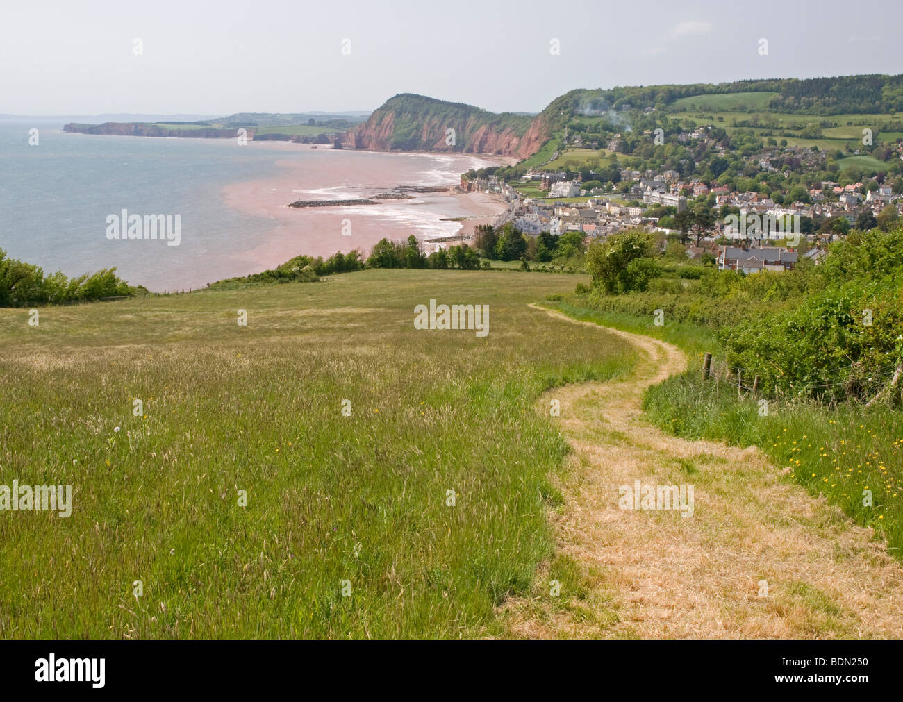 The popular seaside town of Sidmouth on the south Devon coast Stock ...