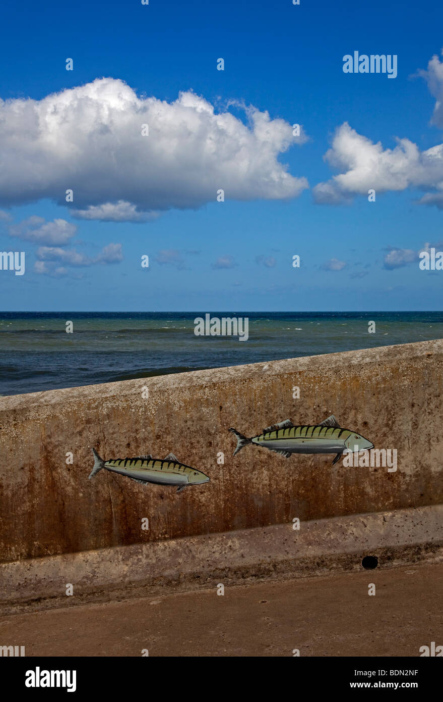 Sea wall art hi-res stock photography and images - Alamy